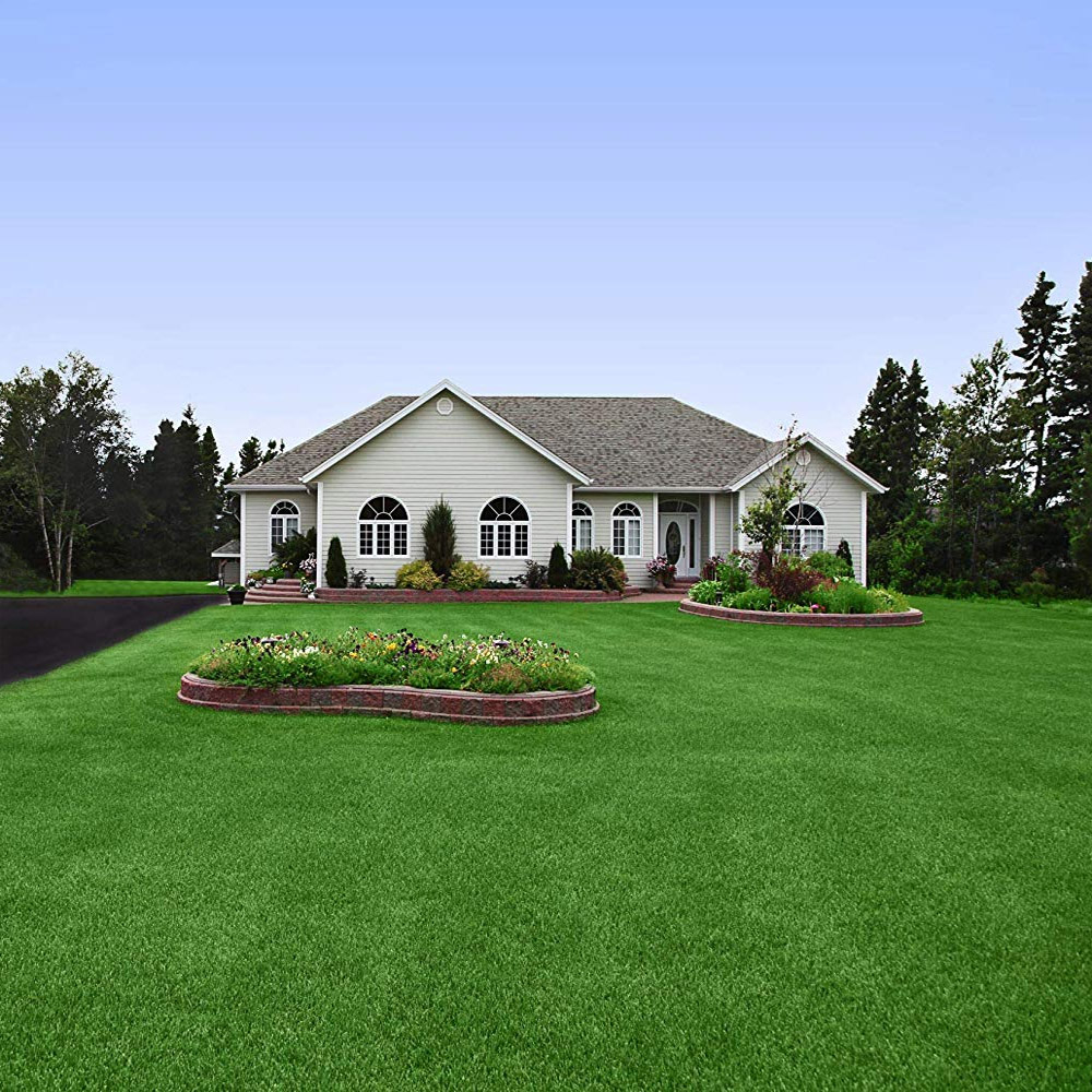 Buffalo Grass - Supreme