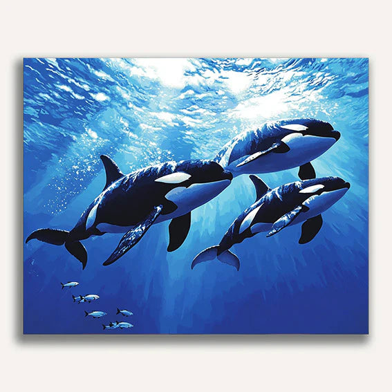 Orca Whales in the Deep Paint by Numbers
