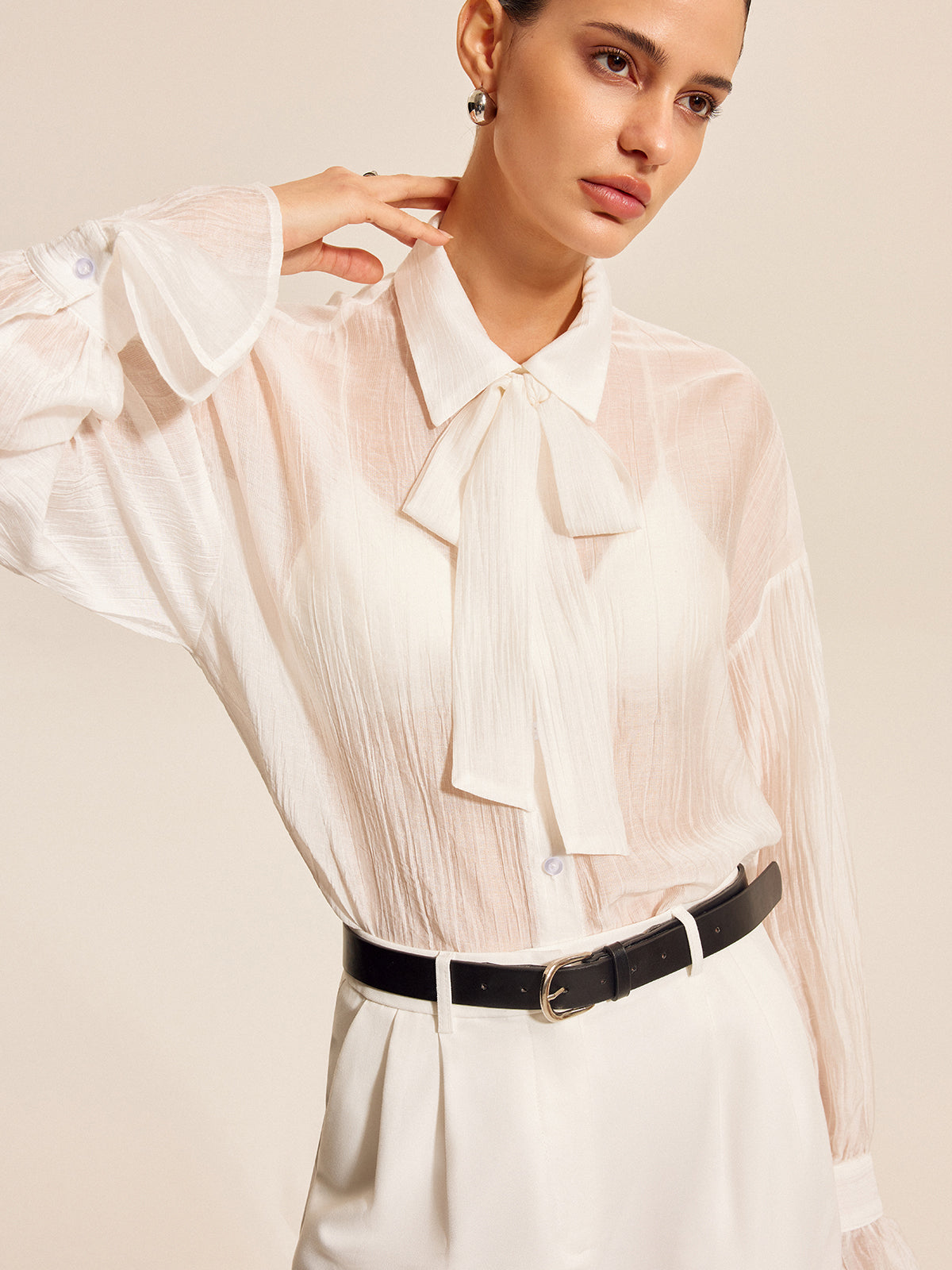 Sheer Bow Tie Blouse