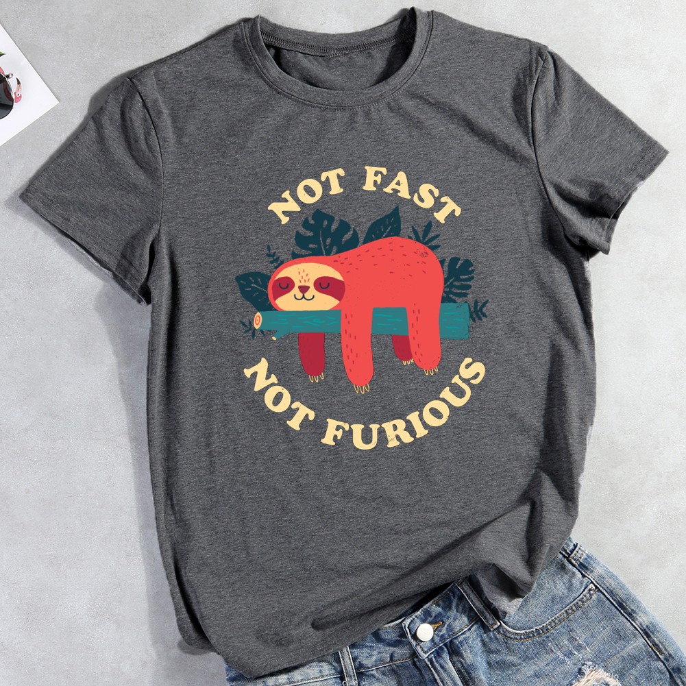 Not Fast Not Furious Sloth not-fast-not-furious-sloth