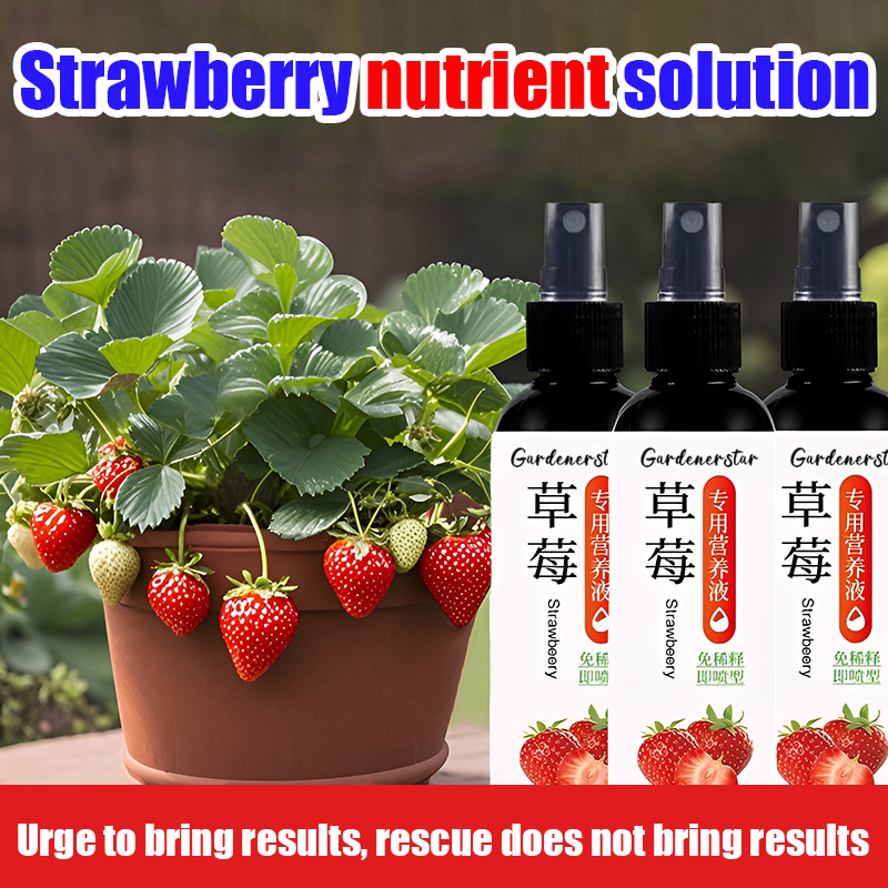Strawberry-Specific No-Dilution Nutrient Solution