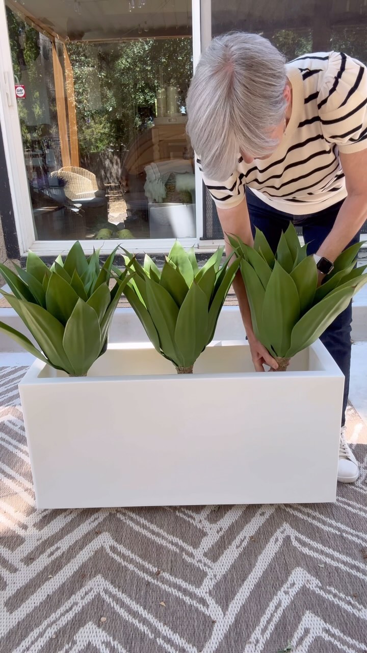 Beautiful privacy plant set with planters & solar lights