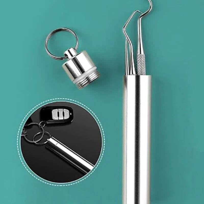 Stainless Steel Toothpick Set buy 2 free shipping