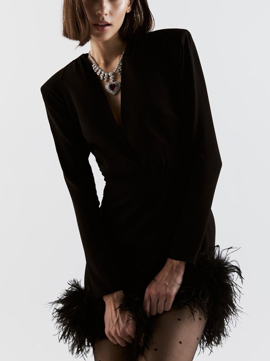 Sexy Deep V Long Sleeve Mini Dress