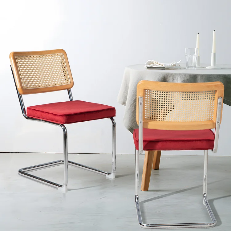 Audumas Mid Century Modern Chair Set of 2 Pink
