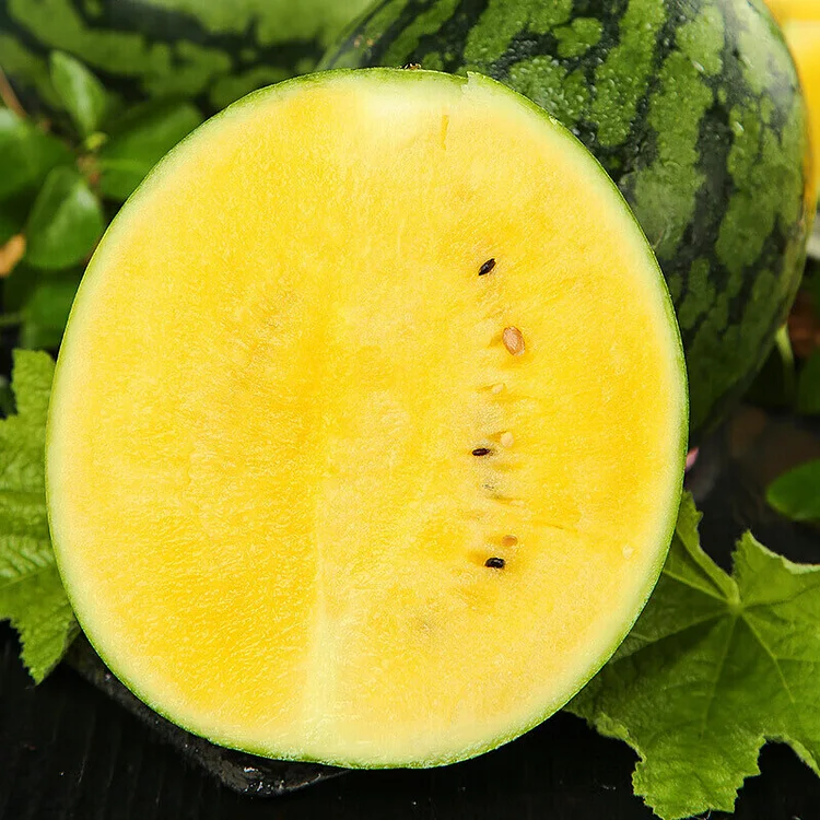 Yellow Heart Ice Cream Watermelon Seeds