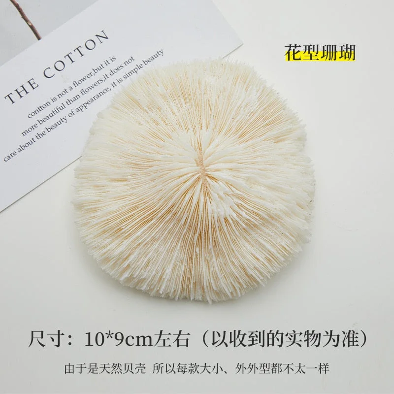 Photo props Acrylic Mirror reflector camera props shooting background ...