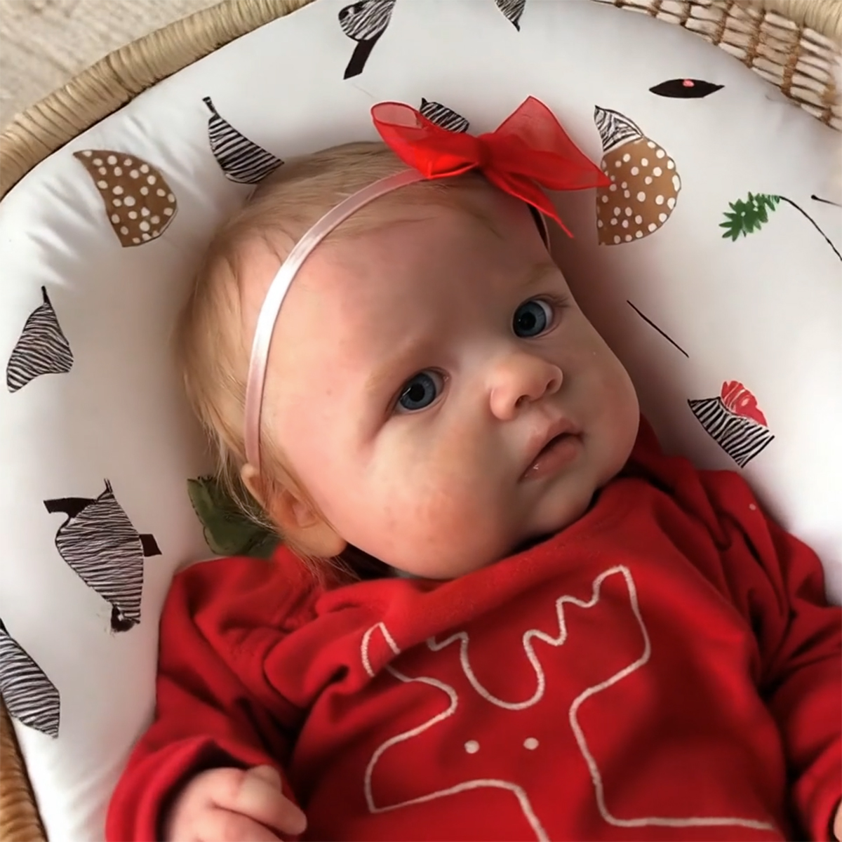 Reborn Baby Dolls - Rebornartdoll® Bestseller Reborn Dolls For Sale