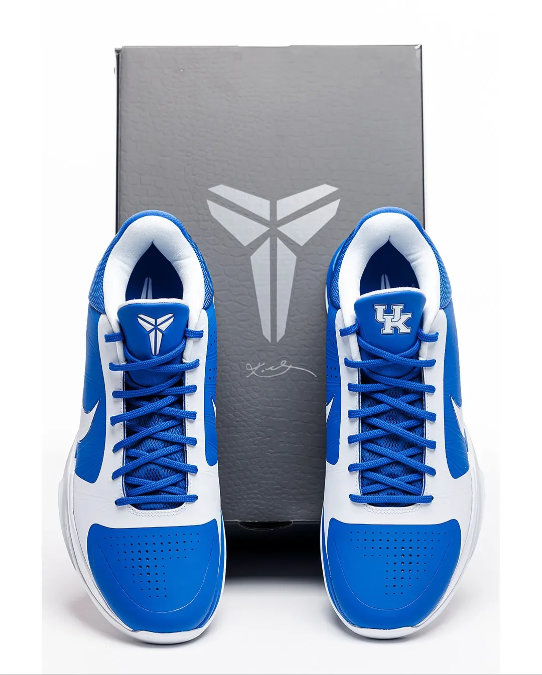 KOBE V PROTRO KENTUCKY