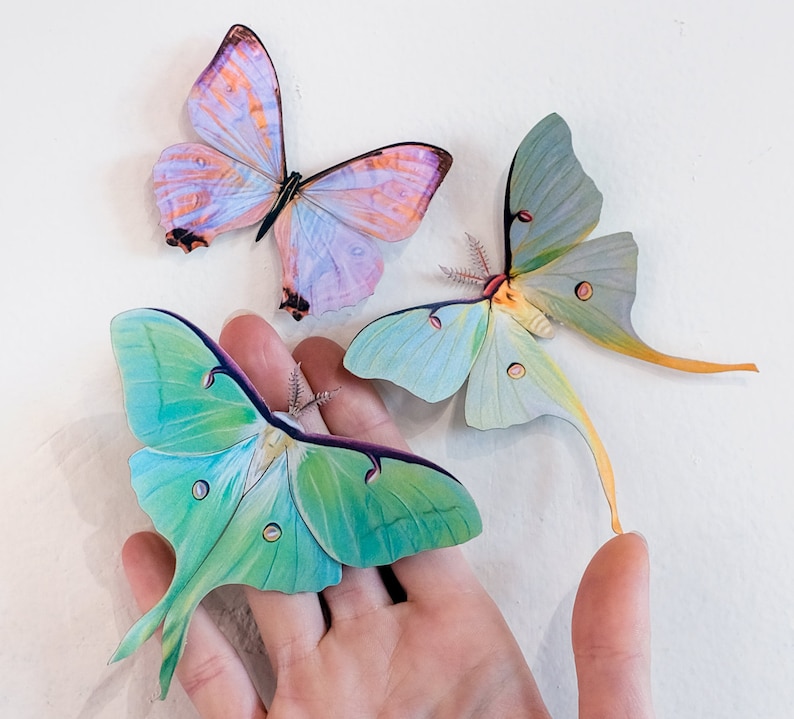 【3 PCS】Luna Moth Papercut Craft Butterflies