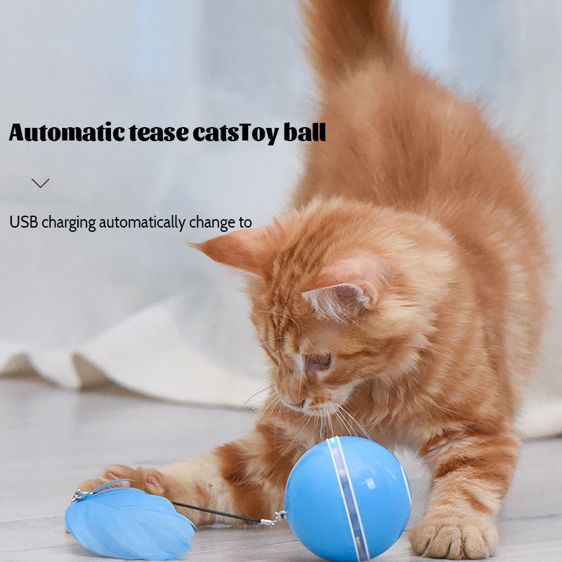 Smart Rolling Ball