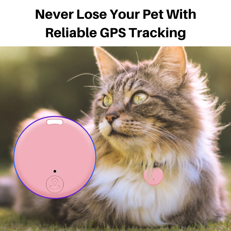 Bluetooth Pet Tracker for Cats and Dogs