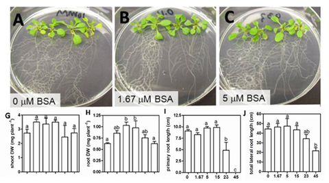 🌿Plant Nutrient Solution💚 Compatible with all types of plants👍 - Gpmsign