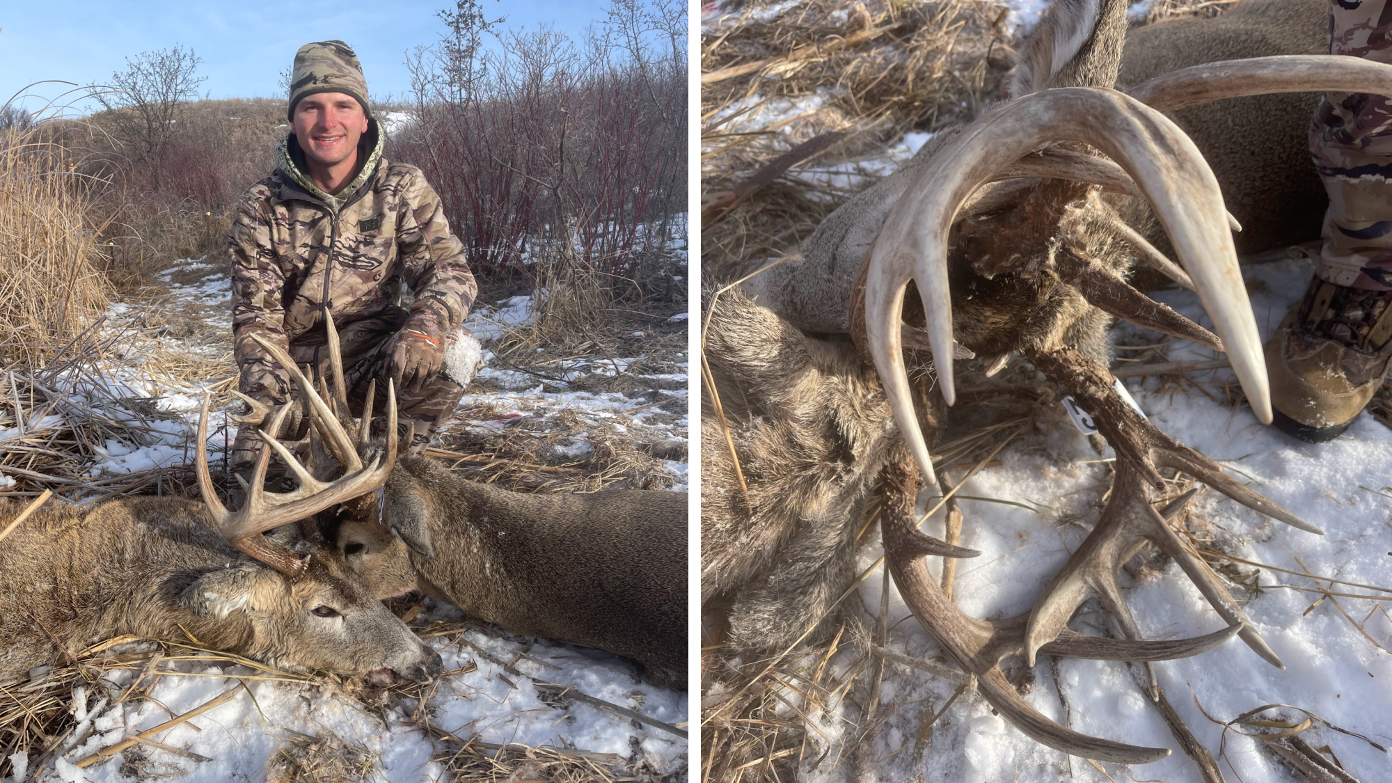 Bowhunter Shoots Locked Up Buck That Was Nearly Dead on Its Feet ...