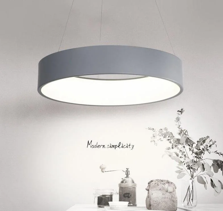 New LED Simple Pendant Lights Lamp For Living Room Lustre Pendant ...