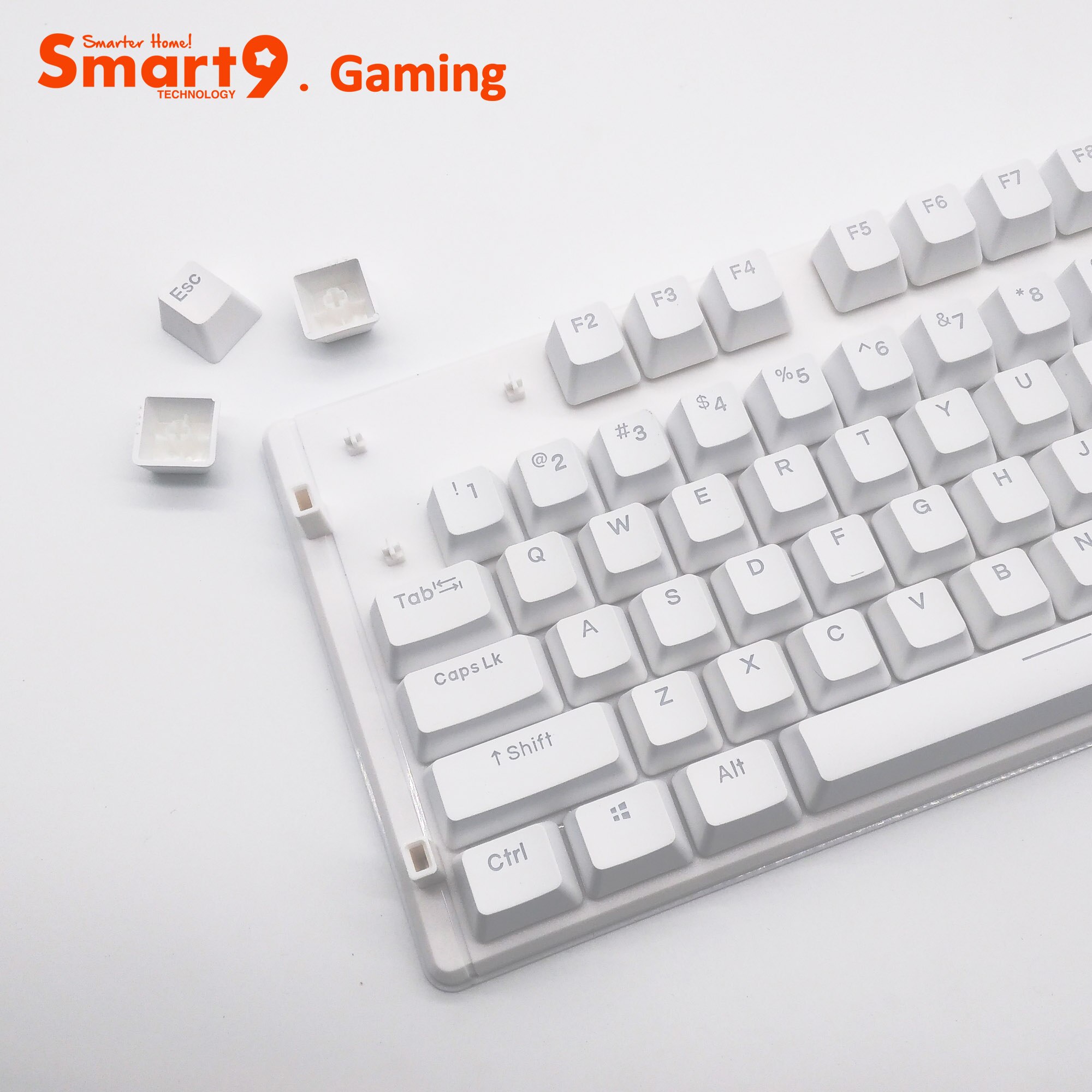 Smart9 PBT Double Shot Keycaps Top Letters Closed Type and Side Letters ...