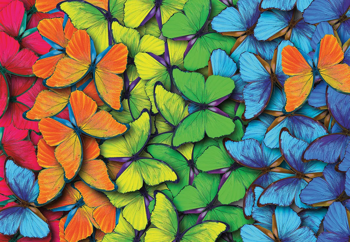 DIY Painting By Numbers | Rainbow butterflies- 40*50cm