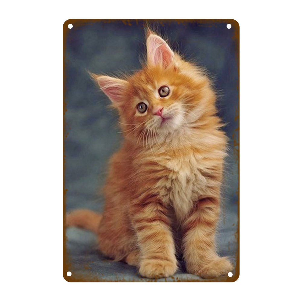 Maine Coon - Metal Tin Signs(12*16Inch)