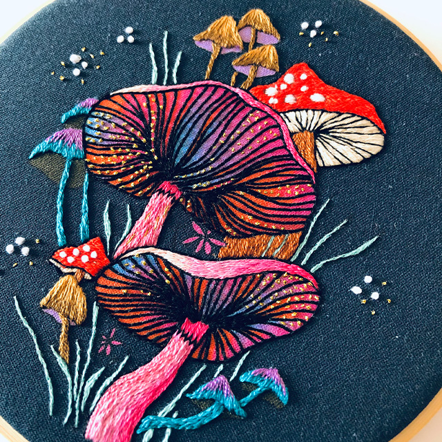 Magic Mushroom Embroidery Kit