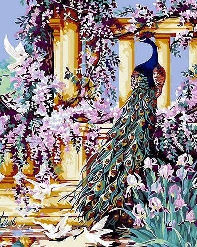 Bird Paint By Numbers Kits UK