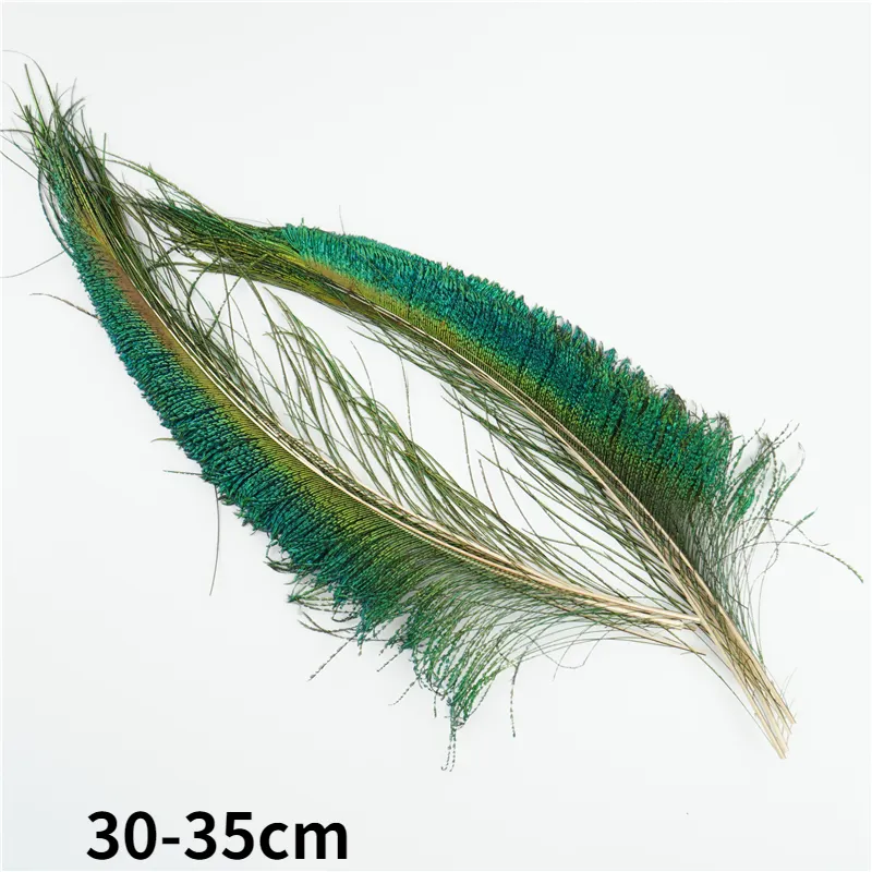 Nigikala Natural Peacock Feathers for Crafts Table Centerpieces ...