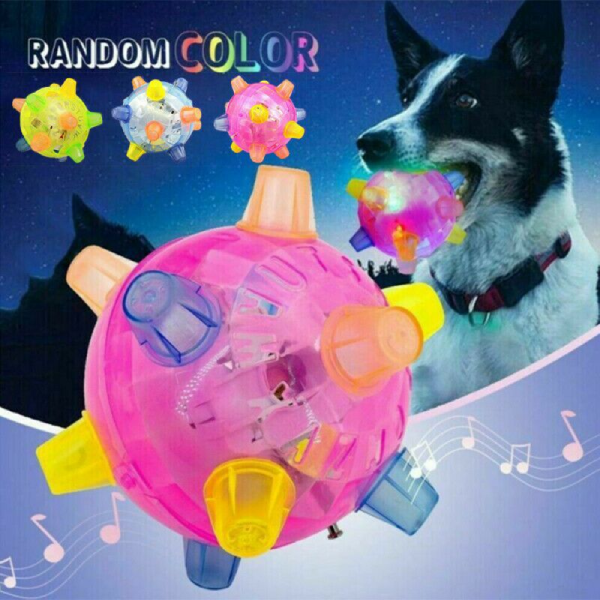 Jumping Activation Ball for Dogs