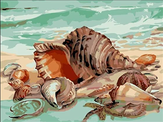 Seashells (canvas) full round or square drill diamond painting