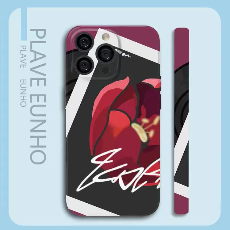 Honkai Star Rail Characters Case