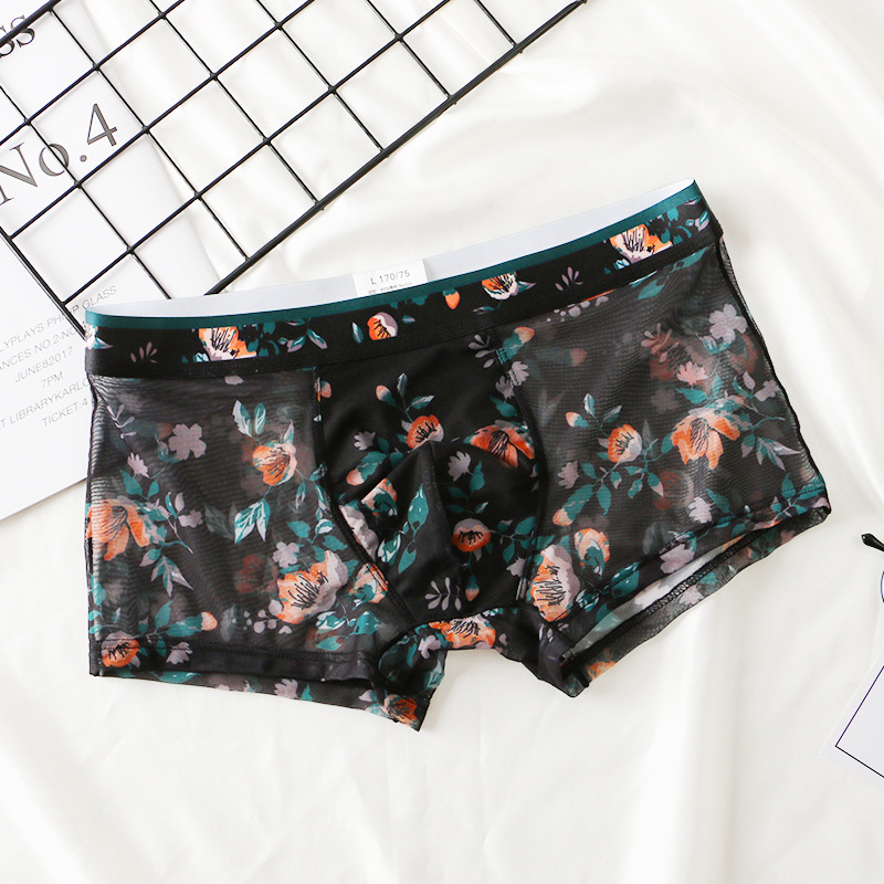 Men's Sexy Mesh Ultra-Thin Transparent Printed Boxer Briefs