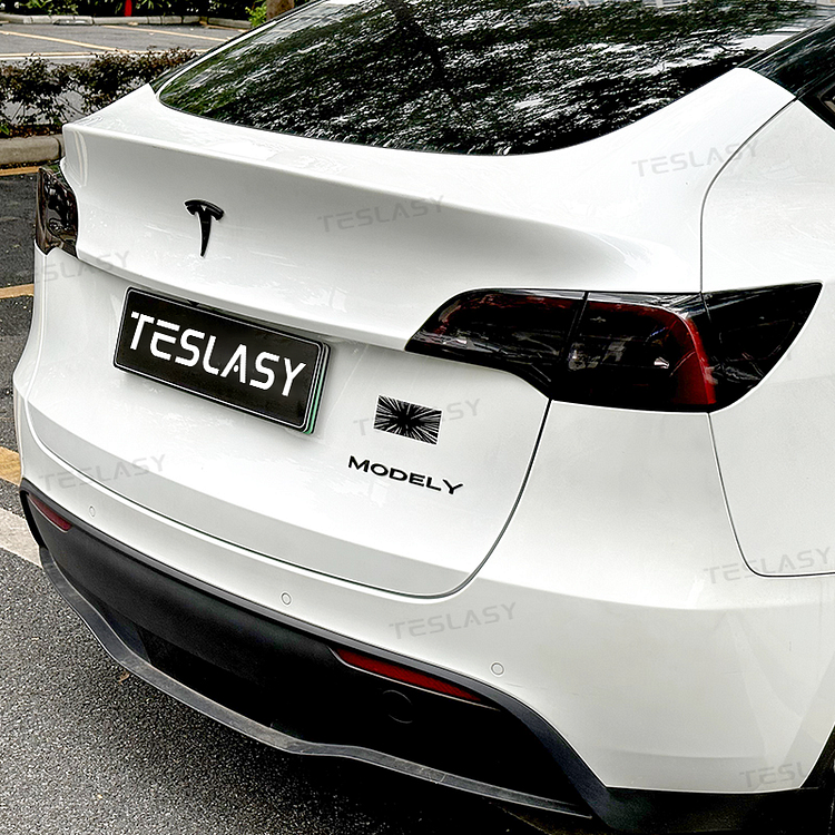 Plaid badge tesla store