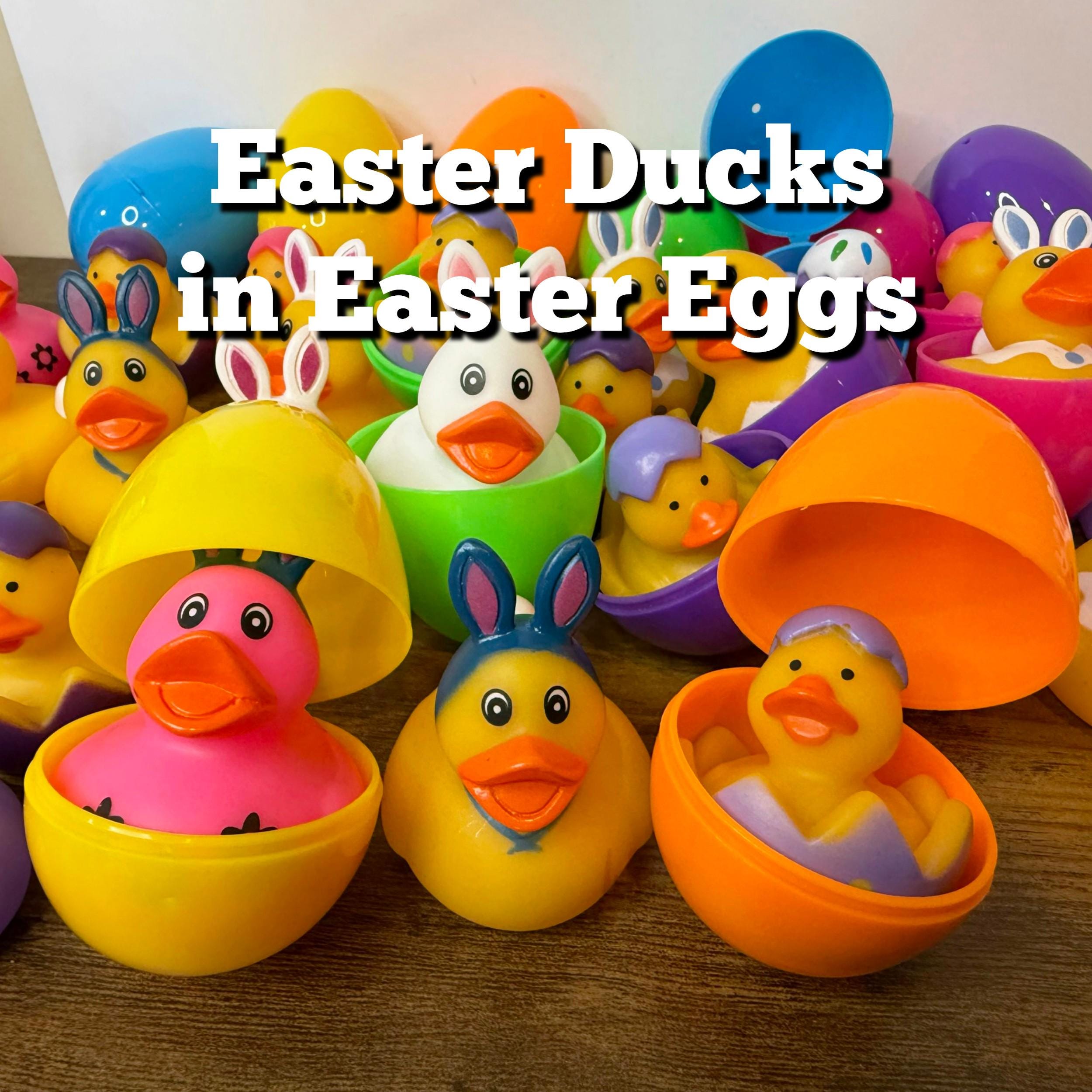 Easter Ducks with Plastic Eggs