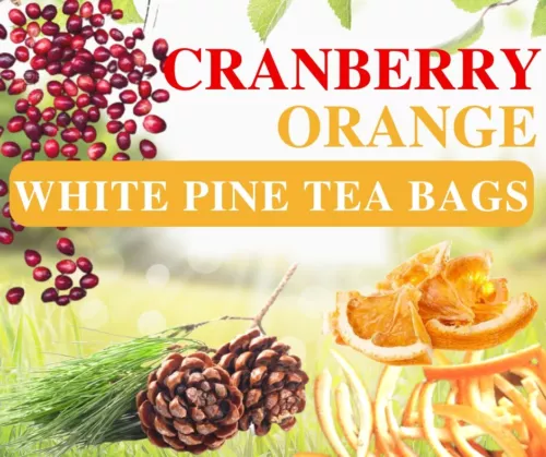 20 Bag Eastern White Pine Tea w Cran & Orange Spike Protein Detox BEST ...