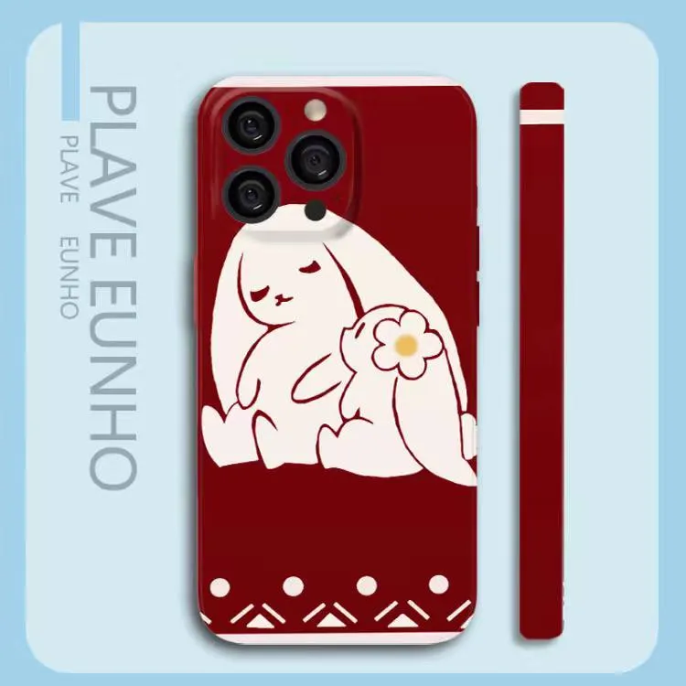 Honkai Star Rail Characters Case