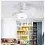 Ceiling Fans