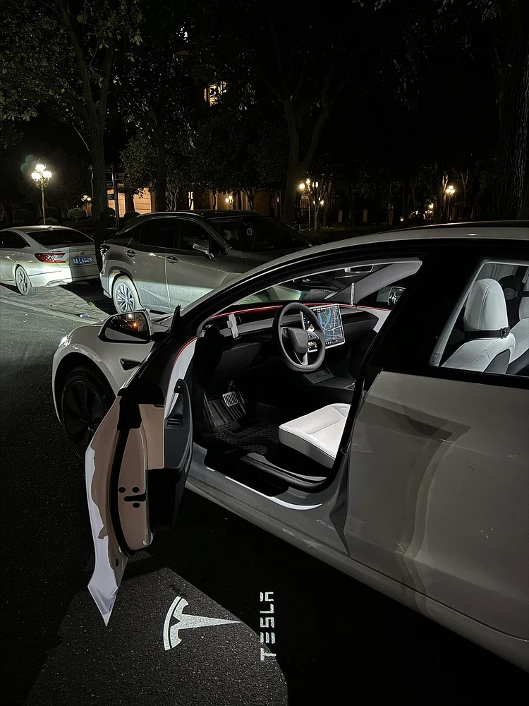 Tesla puddle lights store