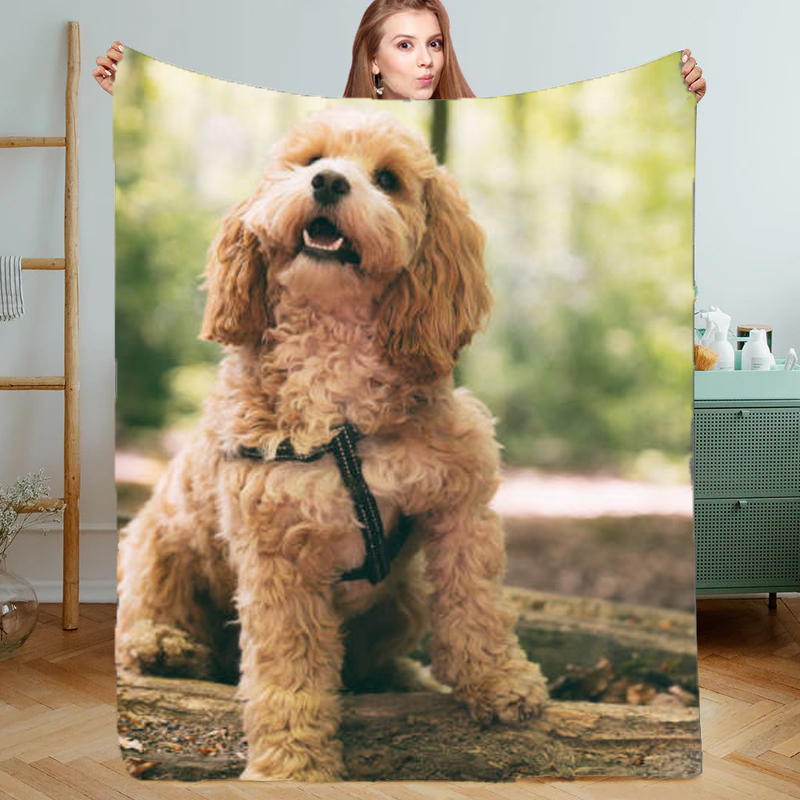 Cockapoo 3D Blanket