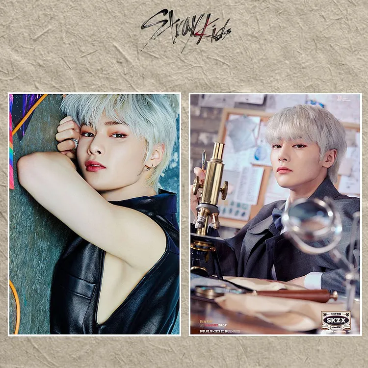 Stray Kids SKZ-X Poster