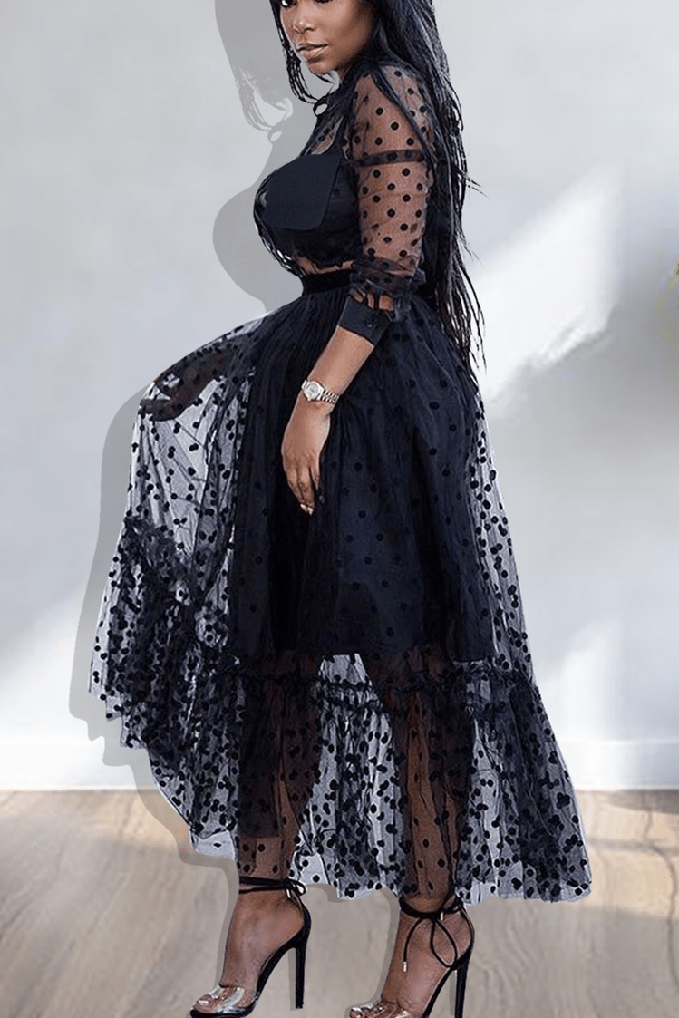 Sexy Mesh Long Sleeve Perspective Dress