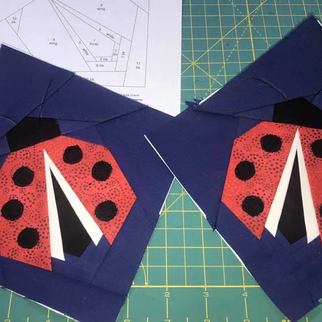 Ladybug Piecing Quilt Block Template Set - With Instructions