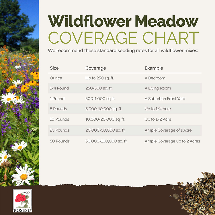 Perennial Pollinator Wildflower Mix