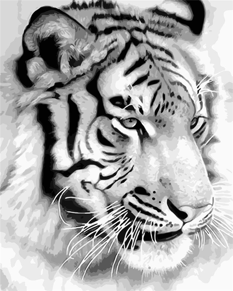 DIY Painting By Numbers | Tiger