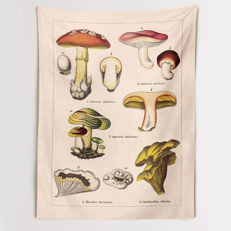 Mushroom Tapestry Wall Decor Mycology Mushroom Champignon ...