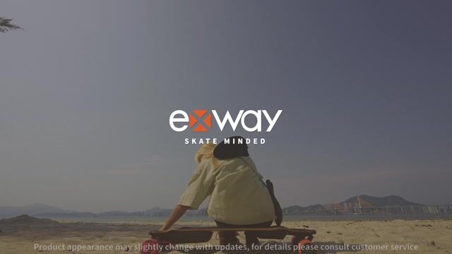 Buy Flex Electric Skateboard - Flex Hub Online | EXWAY