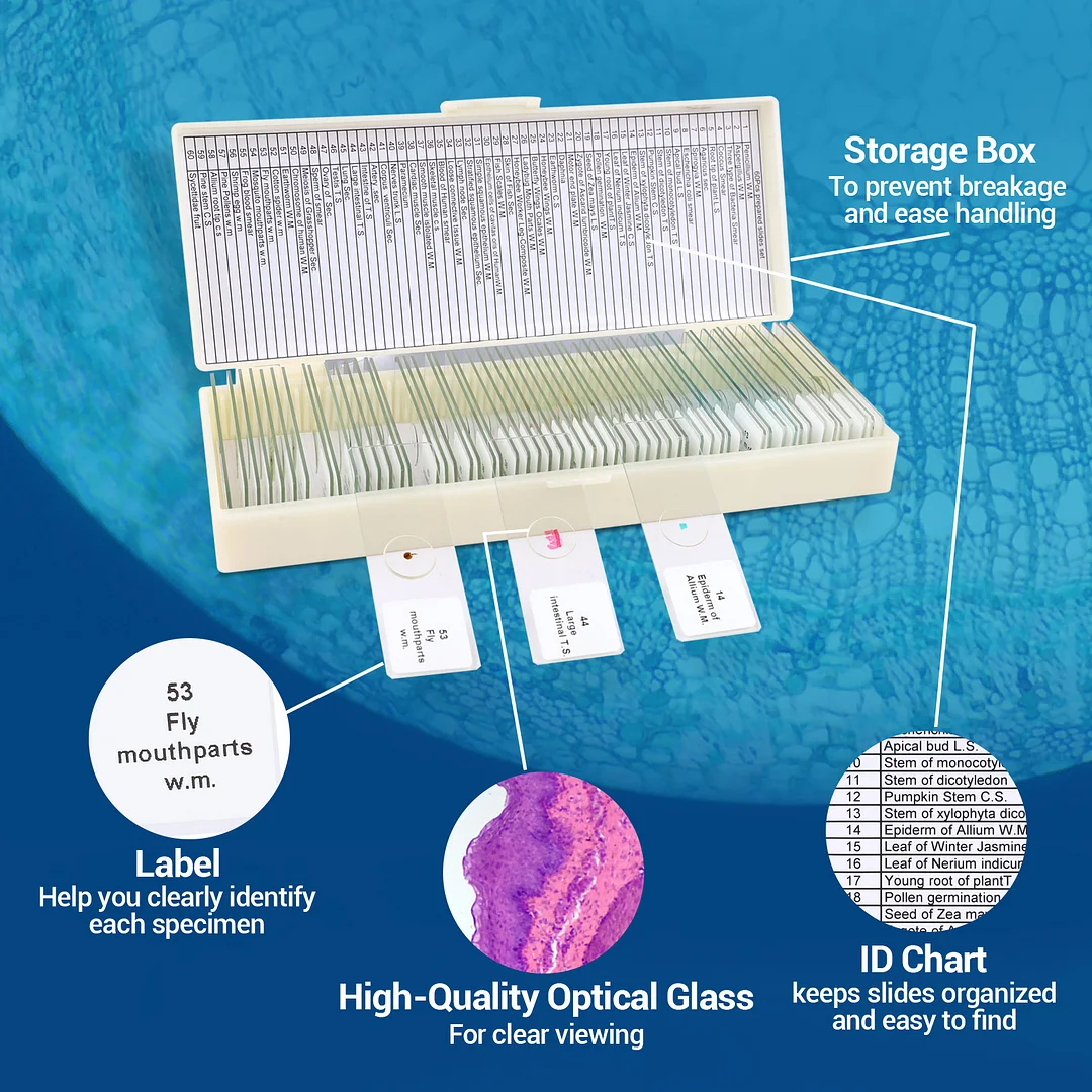 BEBANG 60 Microscope Slides with Specimens for Kids, Prepared ...