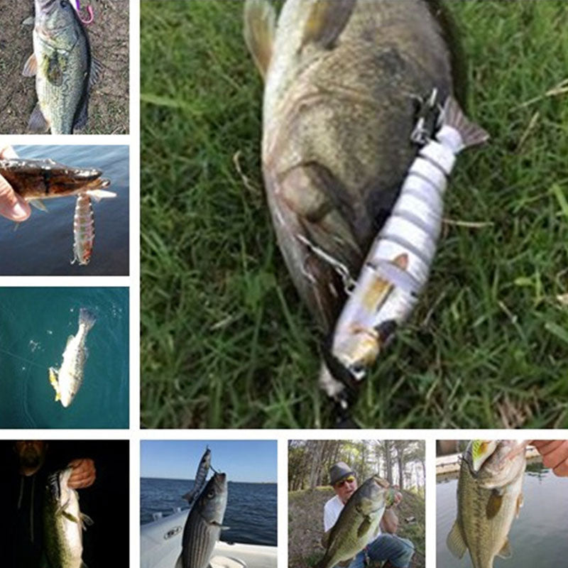 Bionic Luja Baits With Many Knots