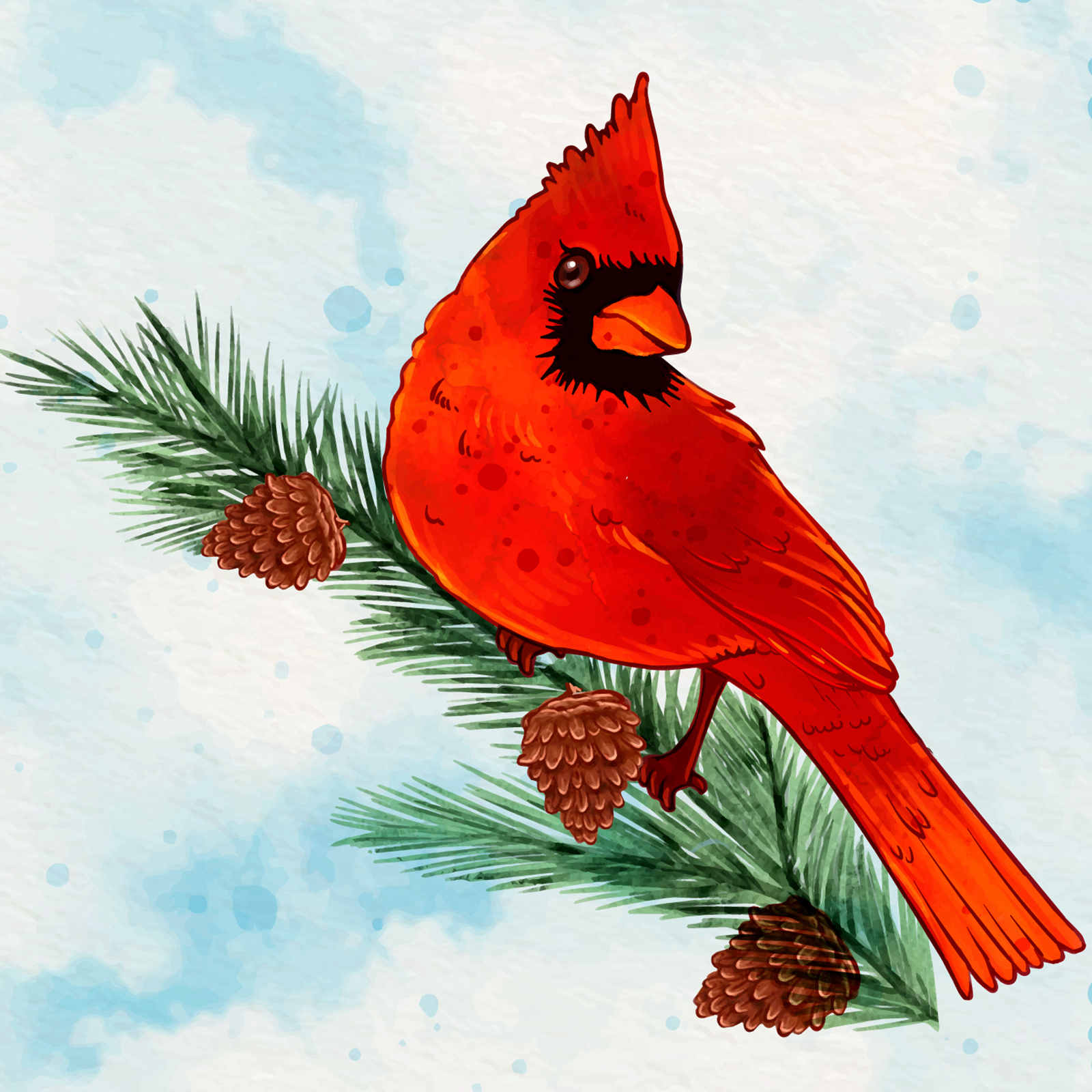 The North American Cardinal - Round Drills - 50*50cm