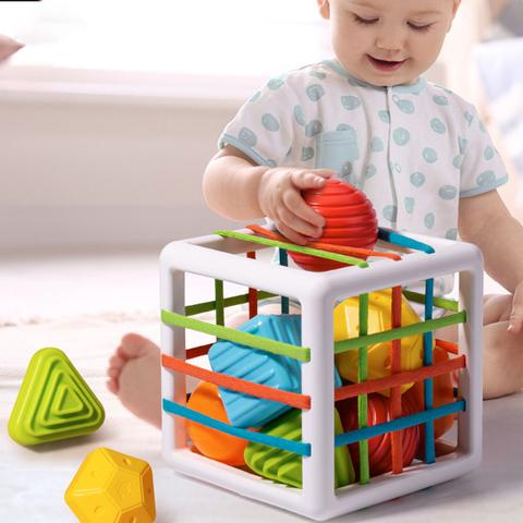 Shape Exploration Toys Set