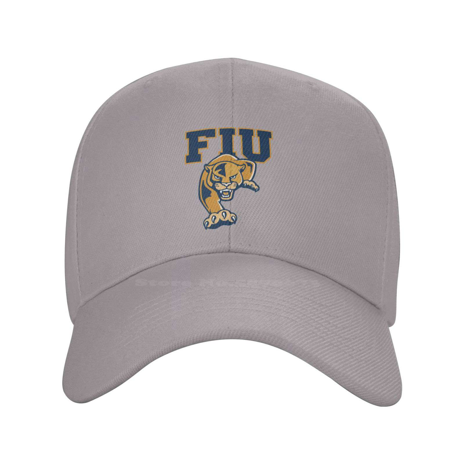FIU Panthers Logoquality Denim cap Knitted hat Baseball cap fashion ...