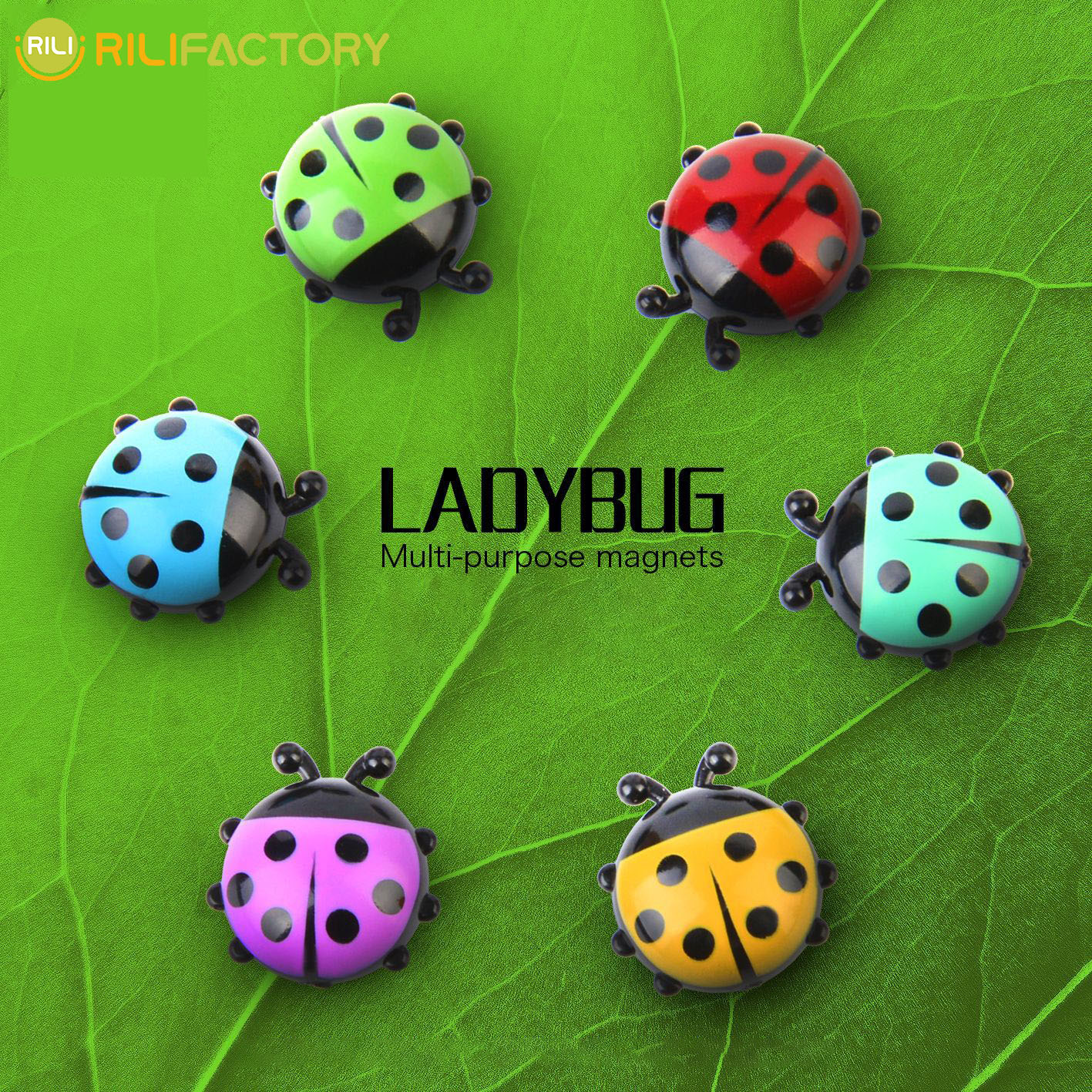 Ladybug Magnet - Professional Kitchenware Supply | Rilifactory