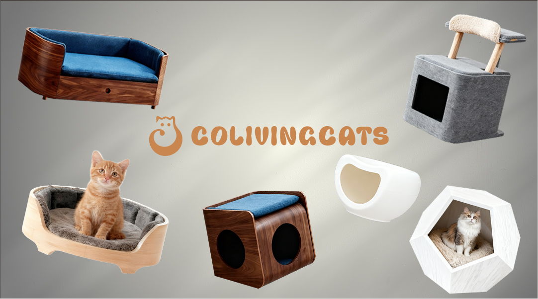 Modern Cat-Friendly Furniture | Shared Living by ColivingCats